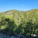Spring Creek and Flume Trail Loop, South Dakota - 735 Reviews, Map ...