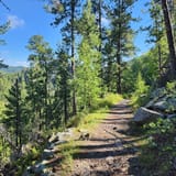 Spring Creek and Flume Trail Loop, South Dakota - 735 Reviews, Map ...
