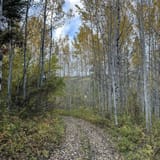 Kelly Canyon Trail, Idaho - 366 Reviews, Map | AllTrails