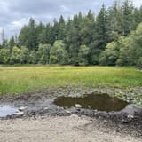 Tradition Lake Loop Trail, Washington - 1,513 Reviews, Map | AllTrails