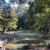 Mudgeeraba Hills, Queensland, Australia - 70 Reviews, Map | AllTrails