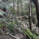 Stanwell Tops, New South Wales, Australia - 52 Reviews, Map | AllTrails