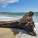 Napatree Point Conservation Area Trail, Rhode Island - 764 Reviews, Map ...