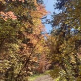 Tibble Fork Loop Trail, Utah - 719 Reviews, Map | AllTrails