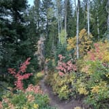 Armstrong Trail to Dawns Trail Loop, Utah - 2,532 Reviews, Map | AllTrails