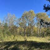 Doudy Draw and Spring Brook Loop Trail, Colorado - 873 Reviews, Map ...