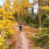 Rowe Lakes, Alberta, Canada - 576 Reviews, Map | AllTrails