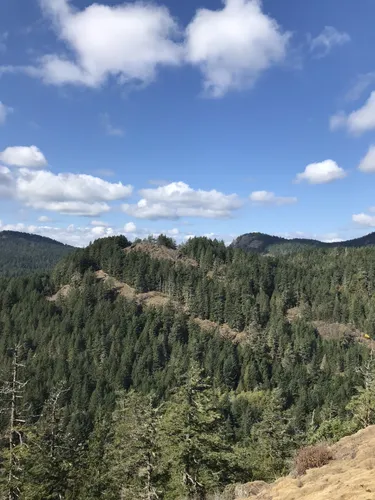 10 Best Hikes and Trails in Sooke Hills Wilderness Regional Park ...