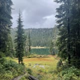 Tipsoo Lake to Dewey Lake Loop, Washington - 657 Reviews, Map | AllTrails
