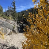 East Inlet Trail, Colorado - 626 Reviews, Map | AllTrails