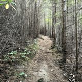 Kettles Trail , Washington - 175 Reviews, Map | AllTrails
