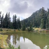 Tipsoo Lake Loop, Washington - 442 Reviews, Map | AllTrails