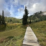 Tipsoo Lake Loop, Washington - 442 Reviews, Map | AllTrails