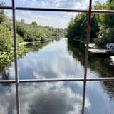 Mercer Slough Nature Park, Washington - 982 Reviews, Map | AllTrails