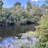 Mercer Slough Nature Park, Washington - 982 Reviews, Map | AllTrails