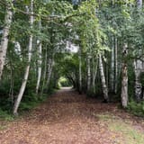 Mercer Slough Nature Park, Washington - 982 Reviews, Map | AllTrails