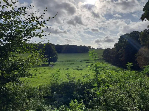 10 Best Hikes and Trails in Martin Down National Nature Reserve | AllTrails