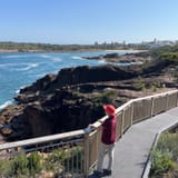 Tomaree Coastal Walk, New South Wales, Australia - 88 Reviews, Map ...