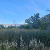 Quail Trail Loop, Utah - 287 Reviews, Map | AllTrails