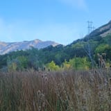 Quail Trail Loop, Utah - 287 Reviews, Map | AllTrails