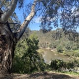 Galatea Point & Dights Falls Loop, Victoria, Australia - 416 Reviews ...