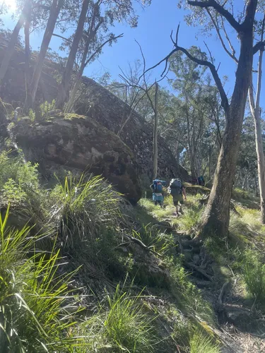 Mount Cole State Forest: de beste routes om te wandelen | AllTrails