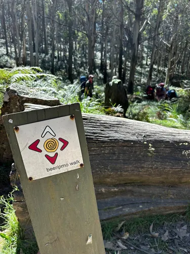 Mount Cole State Forest: de beste routes om te wandelen | AllTrails