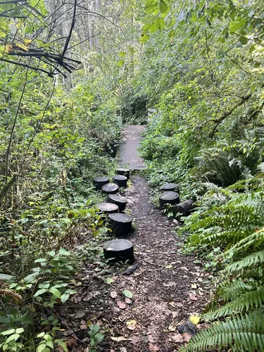 Best Hikes and Trails in Farrell Marsh Park | AllTrails
