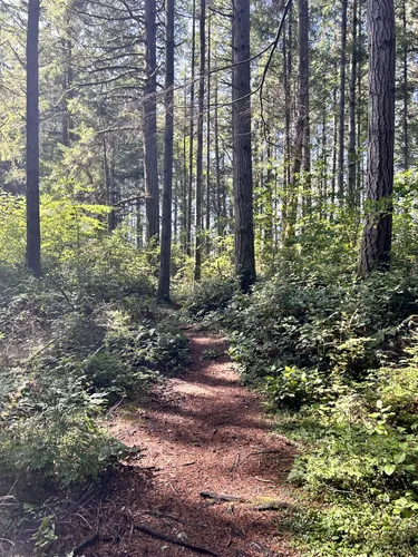 Best Hikes and Trails in Farrell Marsh Park | AllTrails