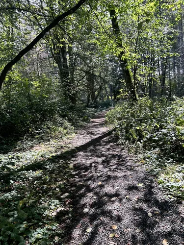 Best Hikes and Trails in Farrell Marsh Park | AllTrails