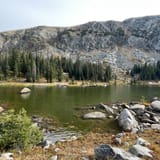 Timber Lake Trail, Colorado - 621 Reviews, Map | AllTrails