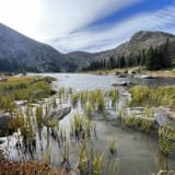 Timber Lake Trail, Colorado - 621 Reviews, Map | AllTrails