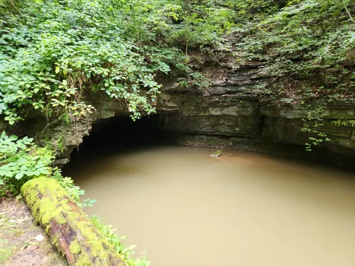 Best Hikes and Trails in Spring Mill State Park | AllTrails