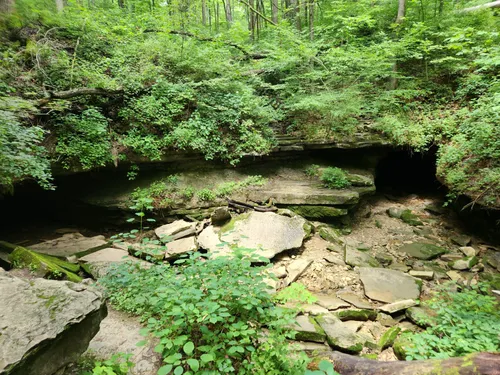 Best Hikes and Trails in Spring Mill State Park | AllTrails