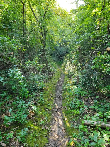 Best Hikes and Trails in Grobschmidt Park | AllTrails