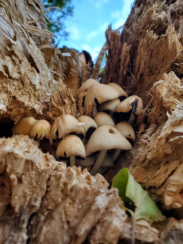 Best Hikes and Trails in Grobschmidt Park | AllTrails