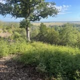 Pine Ridge Loop, Texas - 201 Reviews, Map | AllTrails
