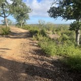 Pine Ridge Loop, Texas - 165 Reviews, Map | AllTrails