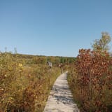 Bognor Marsh Conservation Area Loop, Ontario, Canada - 101 Reviews, Map ...