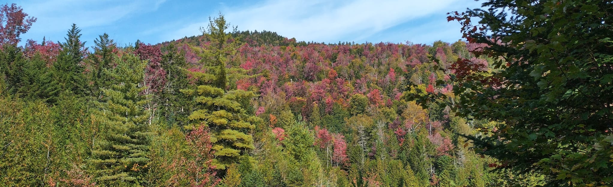 Mount Redfield and Cliff Mountain via Calamity Brook Trail, New York ...