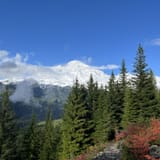 Rampart Ridge Loop, Washington - 2,039 Reviews, Map | AllTrails