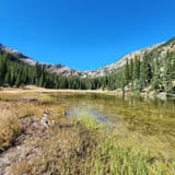 Timberline Lake Trail, Colorado - 1,490 Reviews, Map | AllTrails