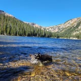 Timberline Lake Trail, Colorado - 1,490 Reviews, Map | AllTrails