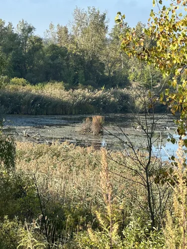 Best Hikes and Trails in High Acres Nature Area | AllTrails