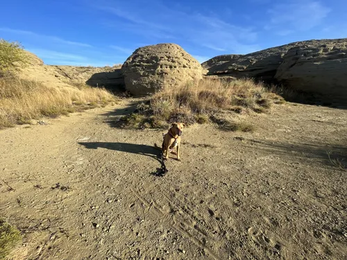 Best Hikes and Trails in Swords Rimrock Park | AllTrails