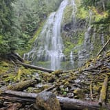 Proxy Falls Loop, Oregon - 1,117 Reviews, Map | AllTrails