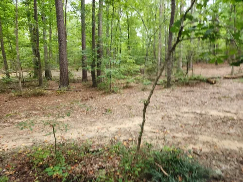 Best Hikes and Trails in Cornwallis Road Park | AllTrails