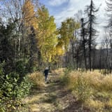 Chena Hot Springs Ridge Trail, Alaska - 37 Reviews, Map | AllTrails