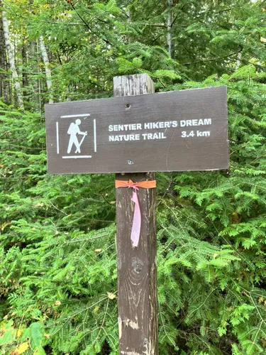 Best Hikes and Trails in Big Pokiok Nature Park | AllTrails