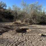 Hawes Trail System Loop, Arizona - 1,002 Reviews, Map | AllTrails